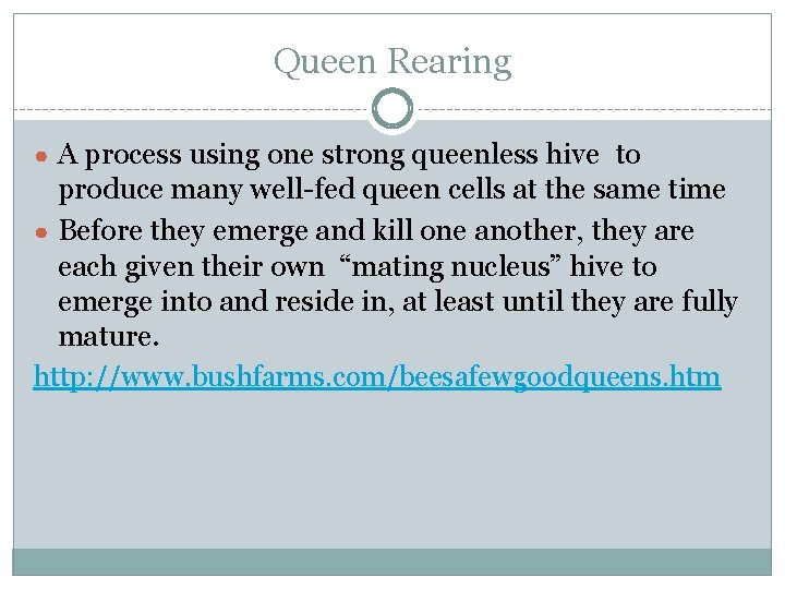 Queen Rearing as a Tool in Apiary Management