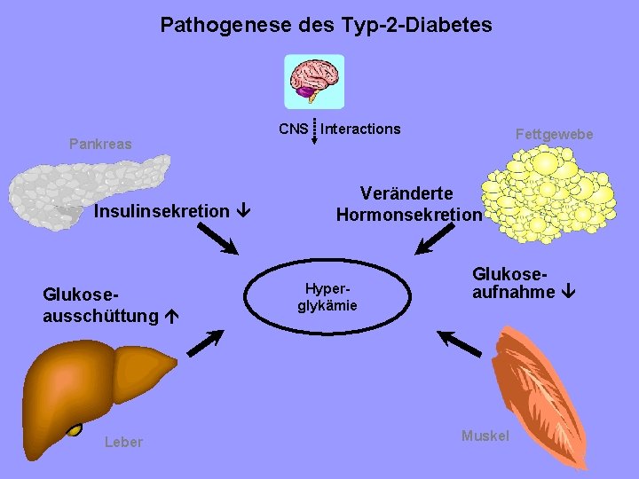 Energy Metabolism Diseases of Modern Civilization Part II