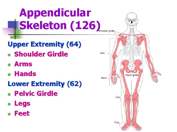 2010 ANATOMY PHYSIOLOGY C Karen Lancour National Bio