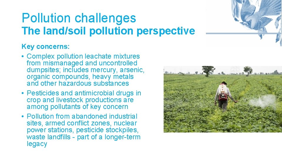 Tackling the growing challenge of soil pollution Towards