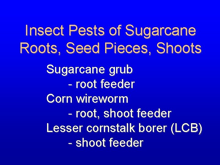 IPM for Sustainable Sugarcane Production in Florida Gregg