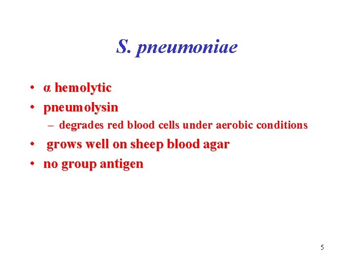 Streptococcus pneumoniae Staphylococci Gram positive cocci Lecture 38