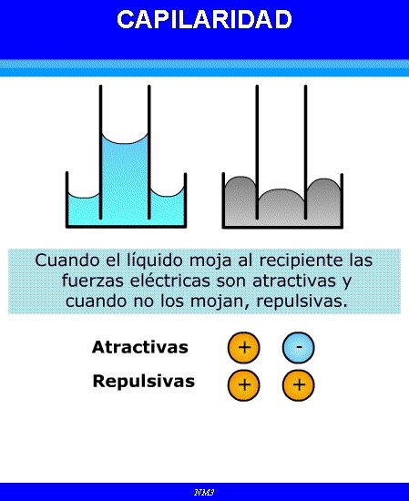 TENSIN SUPERFICIAL Y CAPILARIDAD TENSIN SUPERFICIAL Y CAPILARIDAD