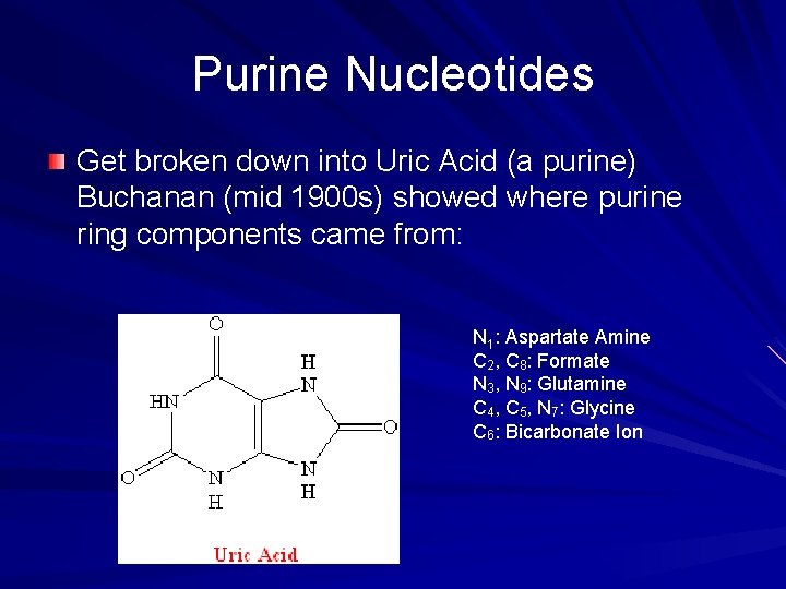 Nucleotides Synthesis and Degradation Nitrogenous Bases Planar aromatic