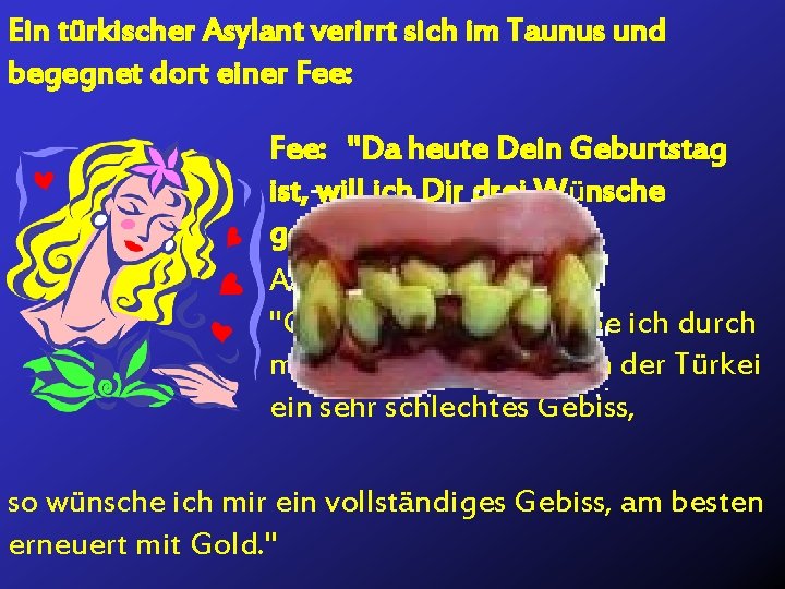 Ein trkischer Asylant verirrt sich im Taunus und