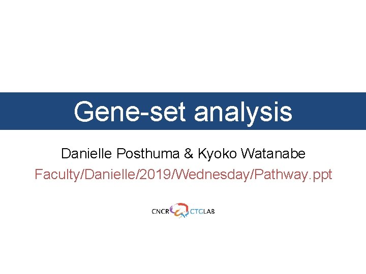 Geneset analysis Danielle Posthuma Kyoko Watanabe ...