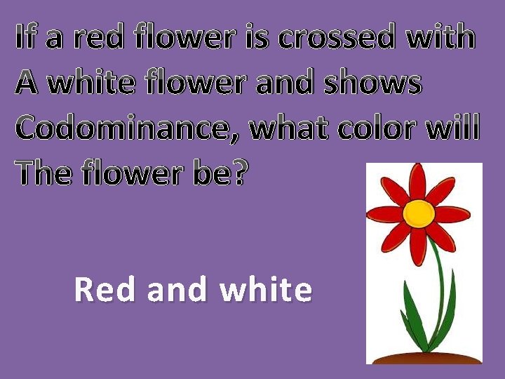 GENETICS REVIEW CHAPTER 11 Explain what the difference