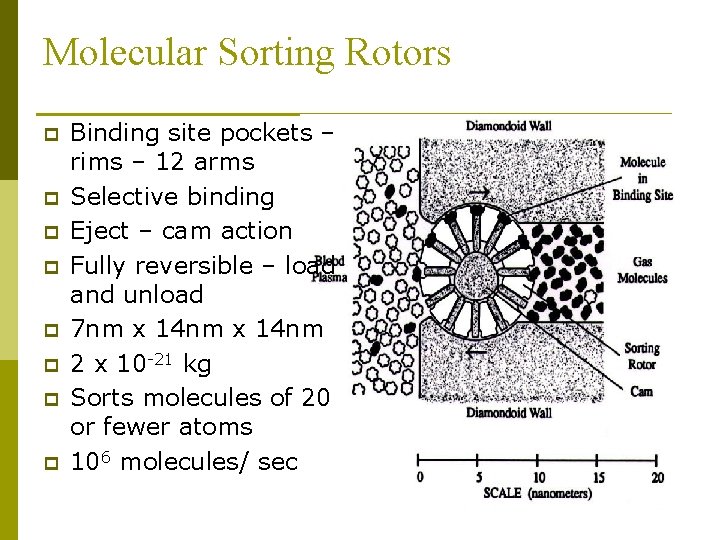 Respirocytes A Mechanical Artificial Red Cell Exploratory Design