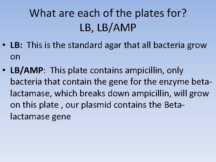 AP Biology Bacterial Transformation What are each of