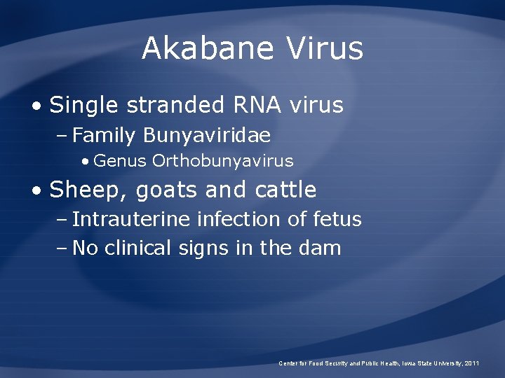 Akabane Congenital ArthrogryposisHydranencephaly Syndrome Acorn Calves ...