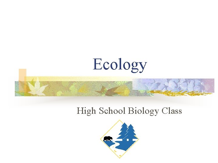 Ecology High School Biology Class What is Ecology