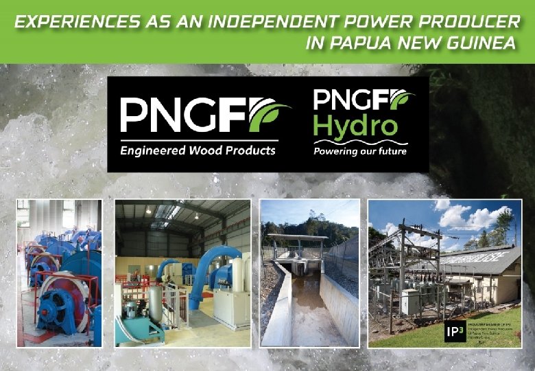 1 Overview of PNG Forest Products Good afternoon