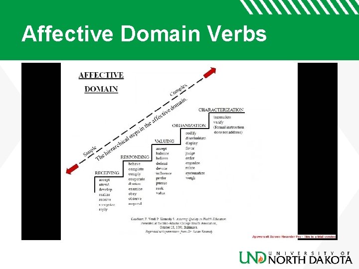 Tim Burrows Ph D Director of Assessment and