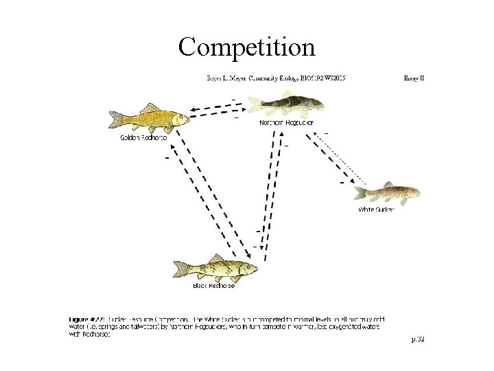 Competition Competition in Nature the Birth of Experimental