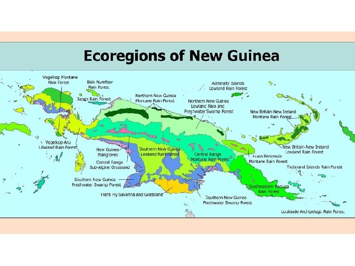 Competition Competition in Nature the Birth of Experimental