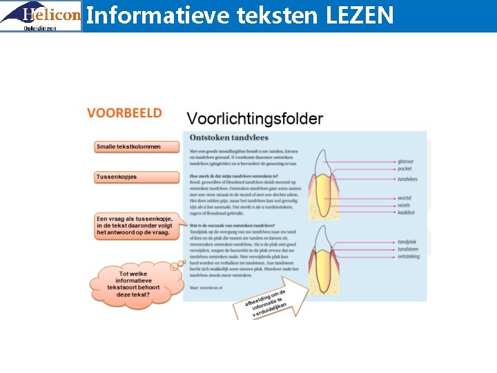 Informatieve en instructieve teksten Relatie met Stageverslag Informatieve