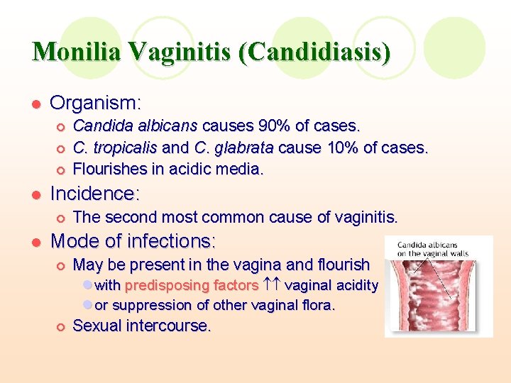 LOWER FEMALE GENITAL TRACT INFECTIONS Defence Mechanism Against