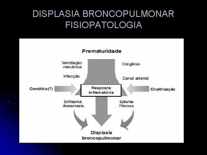 DISPLASIA BRONCOPULMONAR ANA VIRGINIA LOPES DE SOUSA R