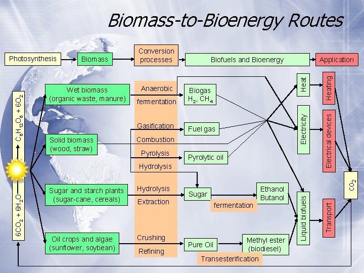 Bioenergy from Agricultural Wastes Ann D Christy Ph