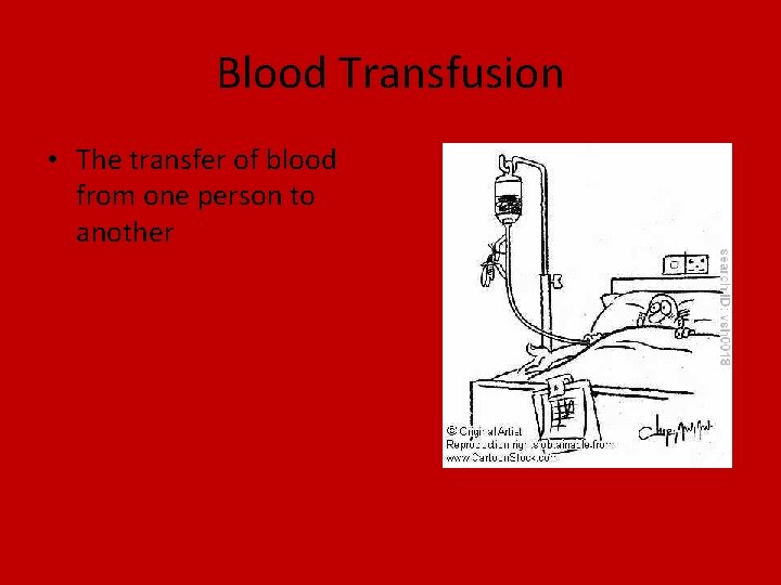 Chapter 16 Circulation Section 2 Blood and Lymph