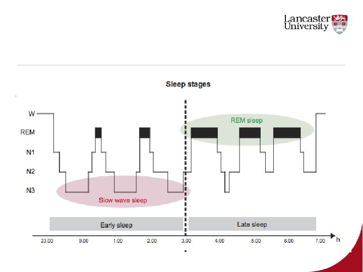 Polysomnography Sleep Scoring John Shaw Lancaster University Procedure