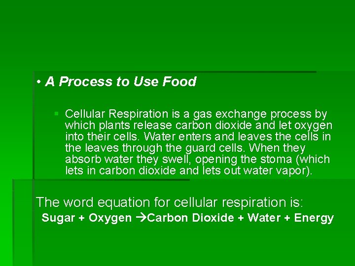 A Process to Use Food Cellular Respiration is