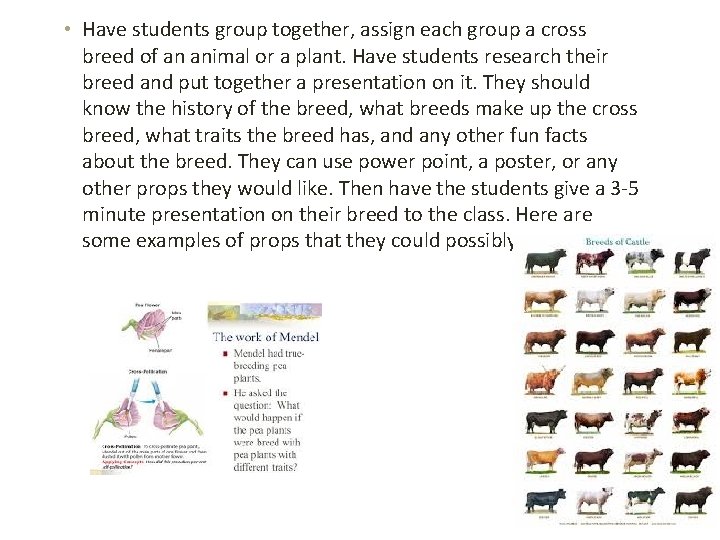 Using Crossbreeding and Hybrids Reminder student learning activities