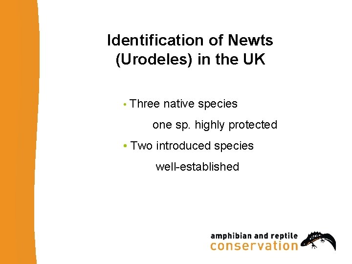 Identification of Newts Urodeles in the UK Three