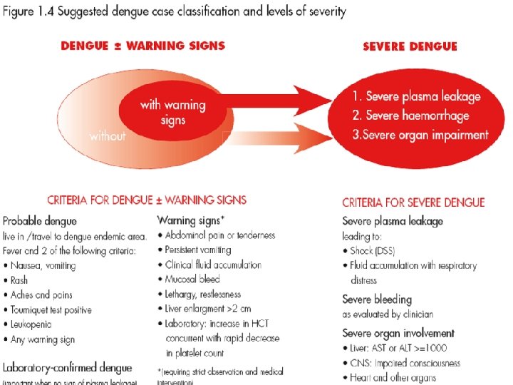 DENGUE WHO GUIDELINES FOR DIAGNOSIS AND TREATMENT Jimmy