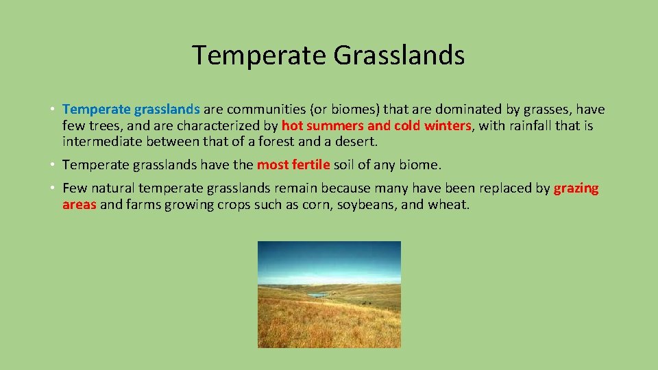 Chapter 6 Biomes Section 3 Grassland Tundra and