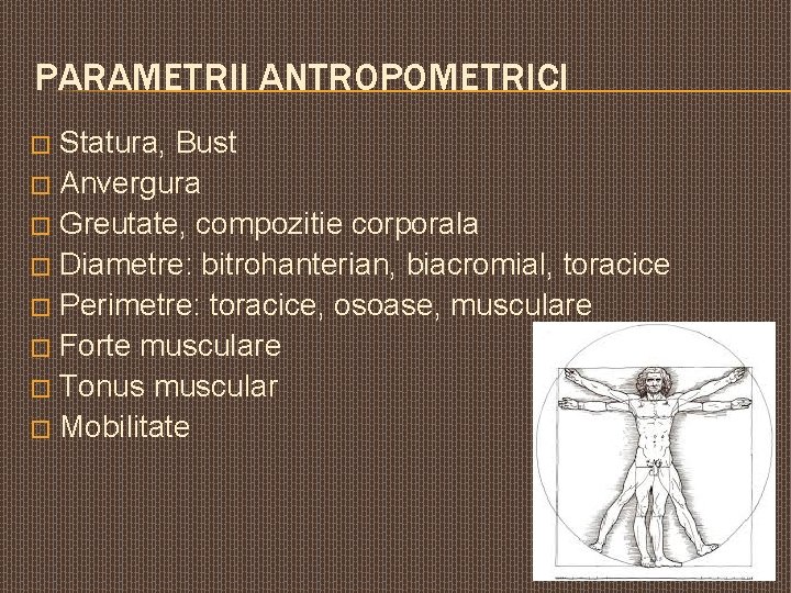 ELEMENTE ALE MACROMODELULUI BIOLOGIC in Tenisul modern Dr