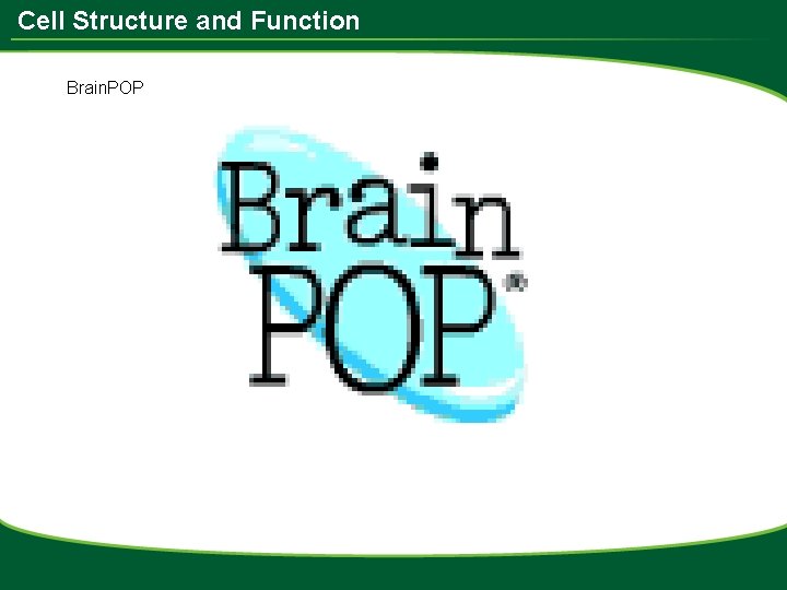 Cell Structure and Function The Cell in Its