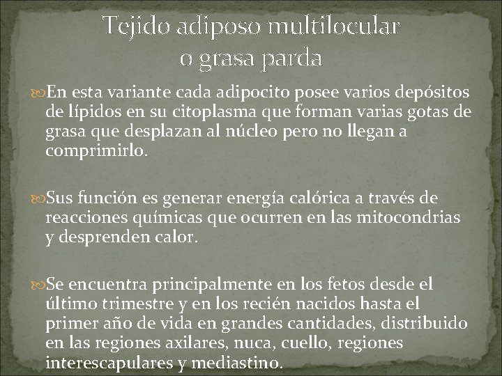 Tejido adiposo El tejido adiposo se encuentra formado