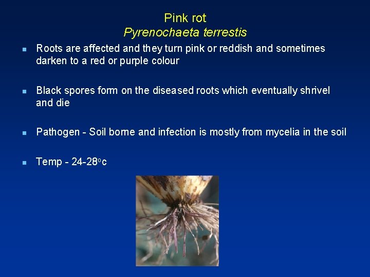 Post harvest diseases of garlic n n n