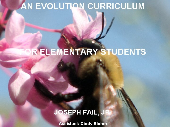 AN EVOLUTION CURRICULUM FOR ELEMENTARY STUDENTS JOSEPH FAIL