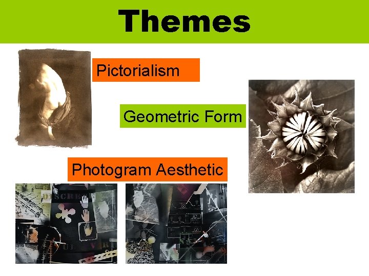 Exploring Modernist Themes in Photography A Brief History