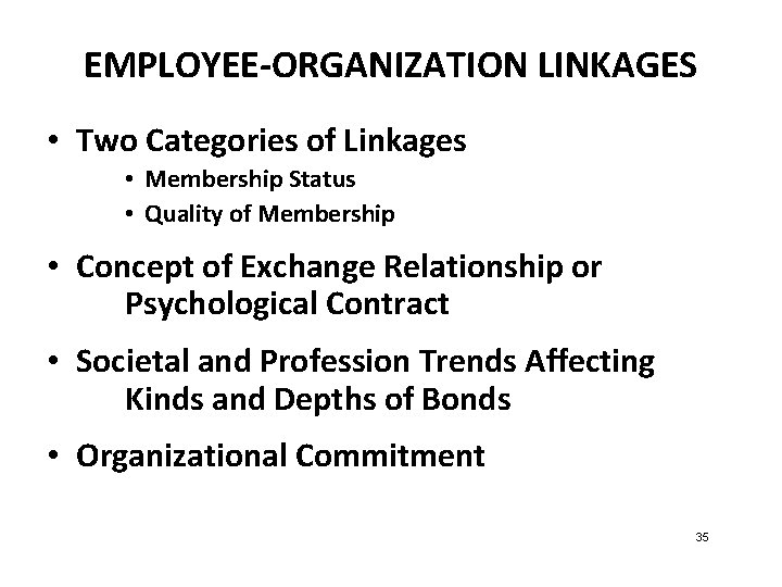 st 21 THE CENTURY INFORMATION PROFESSIONAL CHAOS BREEDS
