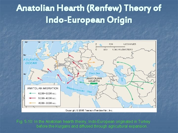 Language English Language Distribution n n 1 5