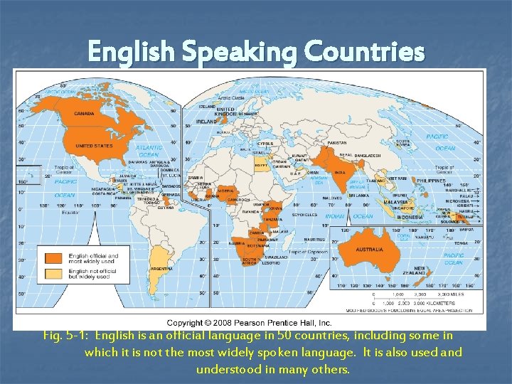 Language English Language Distribution n n 1 5