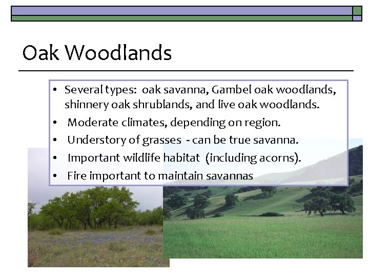 Rangelands of the U S Photos by K
