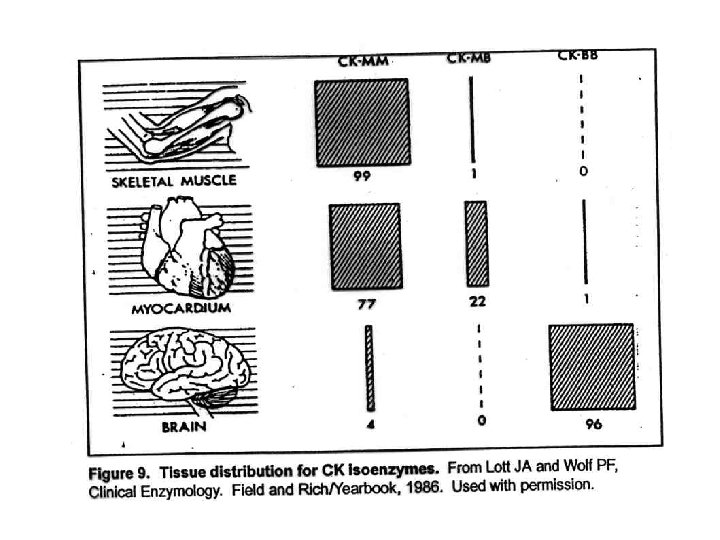 I marcatori cardiaci e la diagnosi di laboratorio