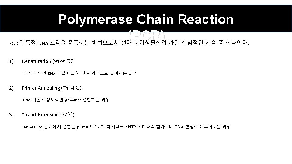 Polymerase Chain Reaction PCR 1 cycle PCR cycle