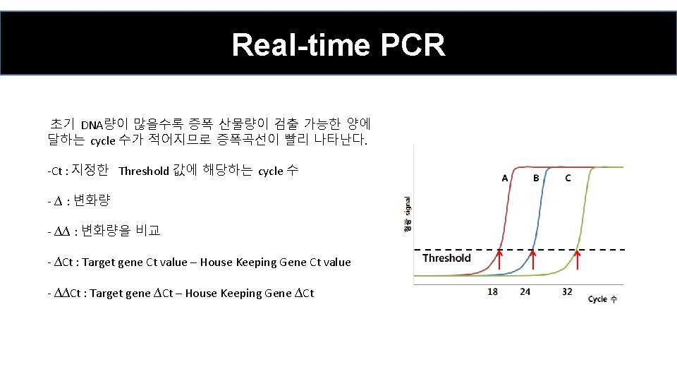 Polymerase Chain Reaction PCR 1 cycle PCR cycle