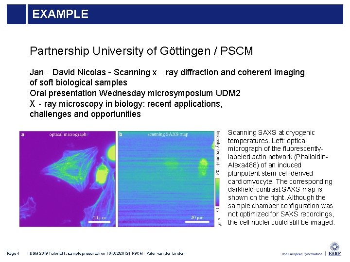 OVERVIEW Introduction Design of the cryo sample stage