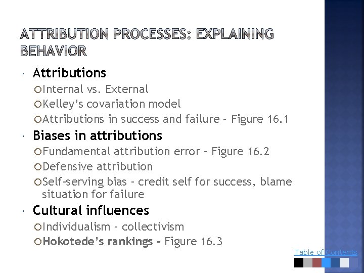 CHAPTER 13 Social Behavior Person perception Attribution processes