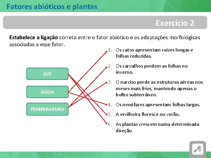 Fatores abiticos e plantas Fatores abiticos e plantas