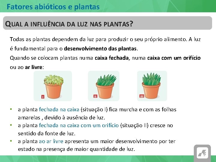 Fatores abiticos e plantas Fatores abiticos e plantas
