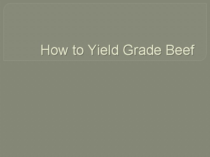 How to Yield Grade Beef Yield Grading While