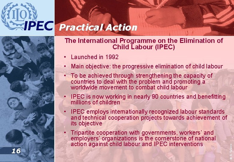 The International Programme on the Elimination of Child