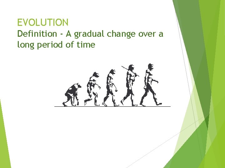EVOLUTION Definition A gradual change over a long